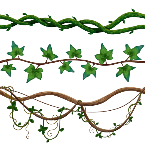 Level 4 - Unit 6: In the rain forest - Lesson 1