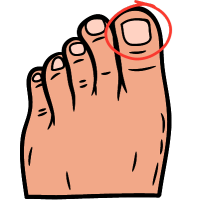 Con hãy hoàn thành bài tập của Level 1 – Unit 4A: Body parts (UPDATED ...